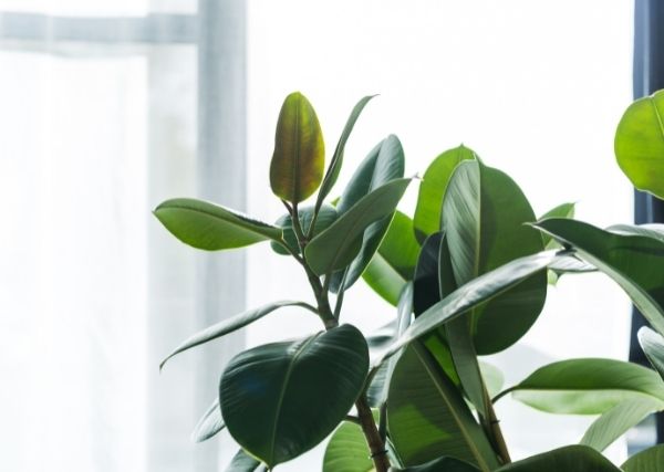 How To Decorate Extra Space in Your Home - Zen of Zada